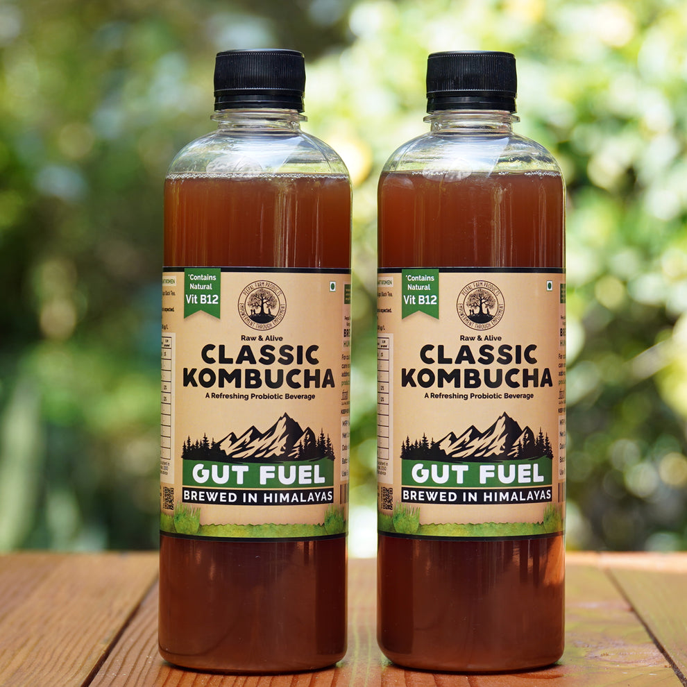Handcrafted Kombucha (Pack of 2 x 500ml), Low-Calorie, All Natural, Co ...